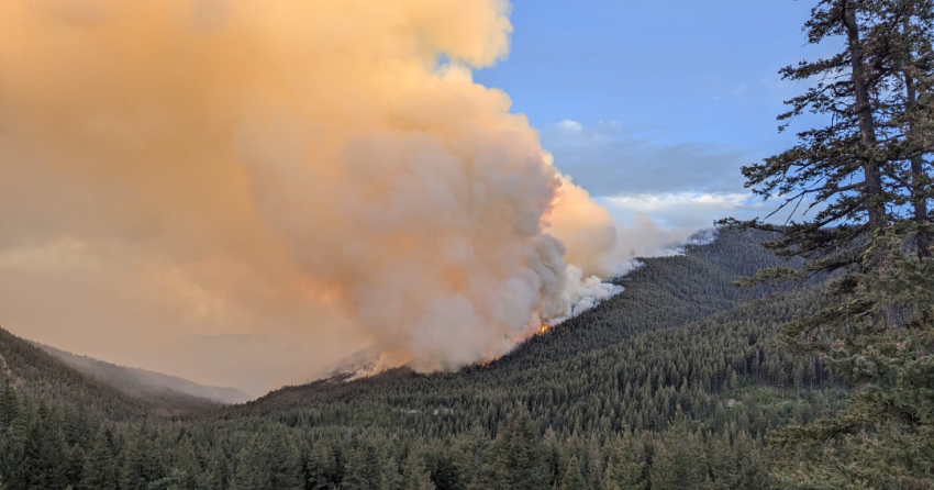 Evacuation orders downgraded near less active areas of Shetland Creek fire