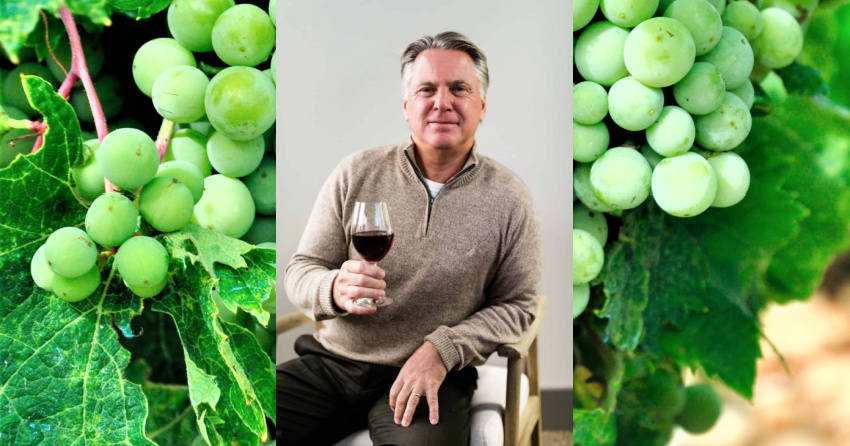Wine Growers BC boss stepping down as the group reaches a 'turning point'