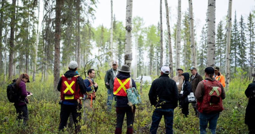 ‘A renewed relationship’: BC responds to forestry crisis with BC Timber ...