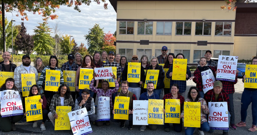BC public service workers, government professionals ramp up job action ...