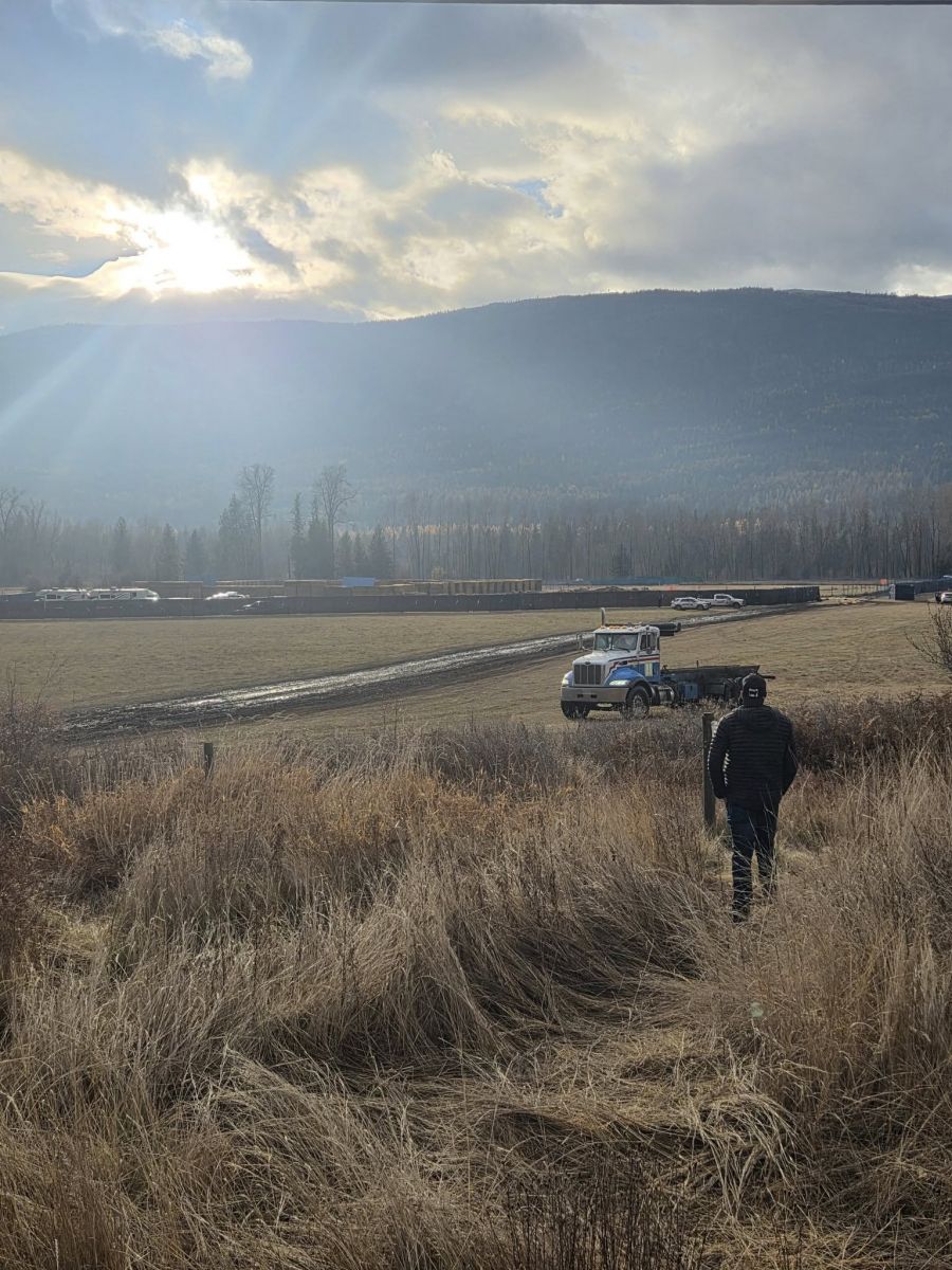 CFIA completes ‘active operations’ at ostrich farm after carcasses ...