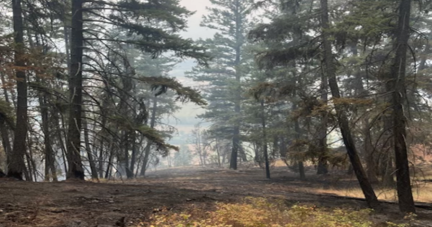 UPDATE: BCWS says fire east of Vernon is now under control