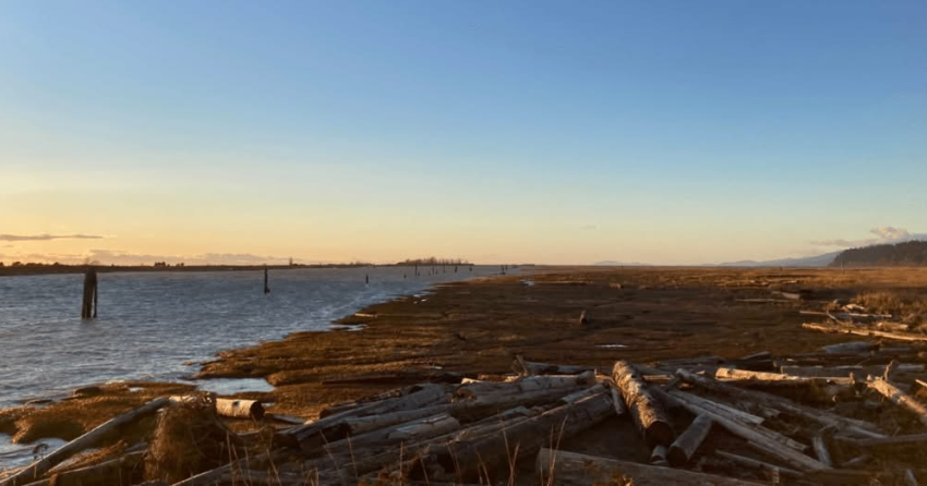 'Profound harm': Poilievre joins calls to overturn Cowichan land title ...