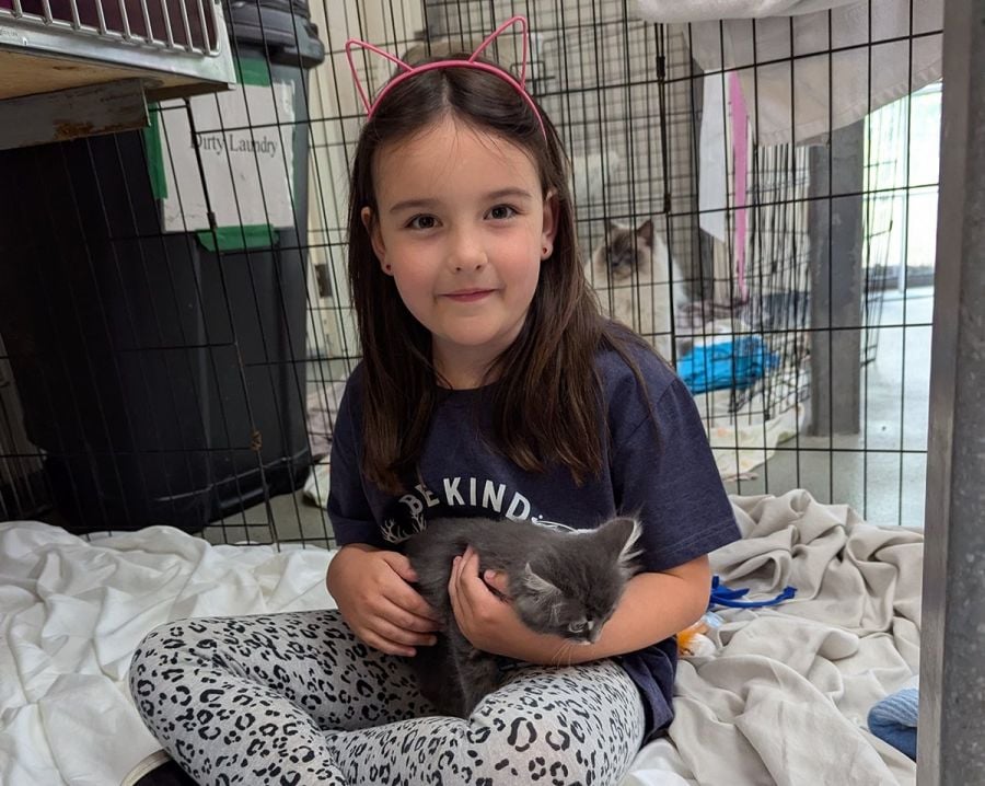 BC SPCA seeking animal lovers to 'lock-in for love' across BC