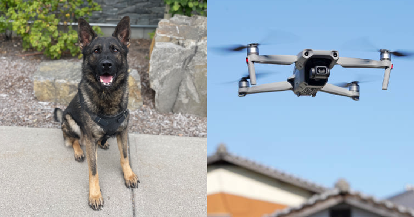 Nowhere to hide: BC Mounties use drone-and-dog combo to catch suspect