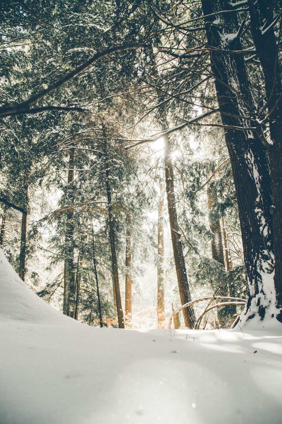 Celebrate -- don't dread -- the longest night of the year