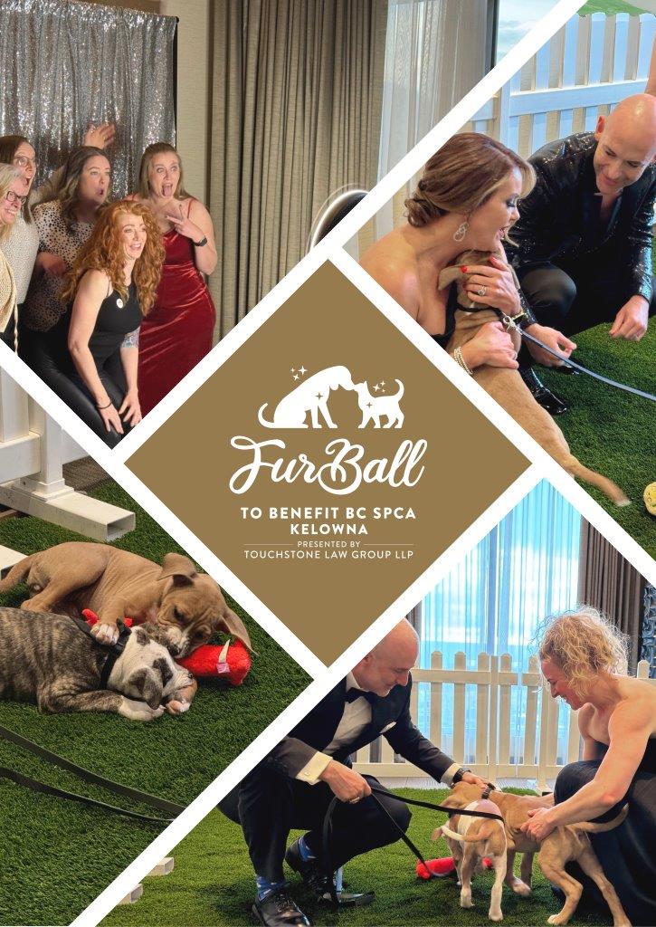 Animal lovers will come together at Kelowna’s Fur Ball event in May