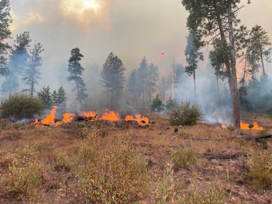 ZipZone Adventure Park evacuation order lifted as Peachland wildfire ...