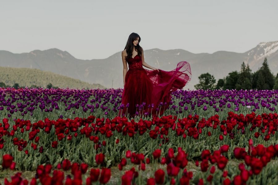 Canada’s largest tulip festival will bloom in BC next month