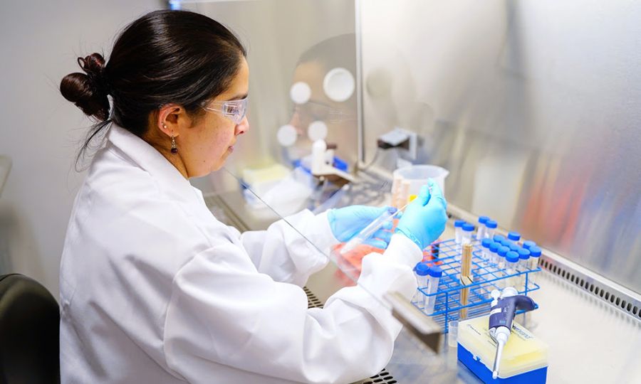 UBCO researchers engineer a probiotic that’s heading to human trials