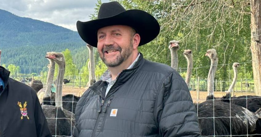 Independent MLA Jordan Kealy charged with sexual assault
