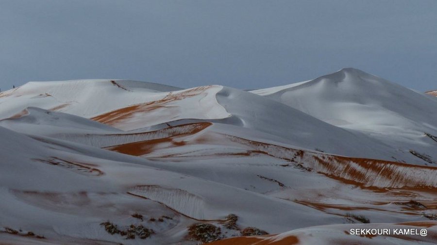 PHOTOS: The Sahara Desert is covered in snow